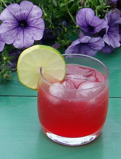 The Quick Red Fox (Tequila Cocktail) « The Rum Howler Blog
