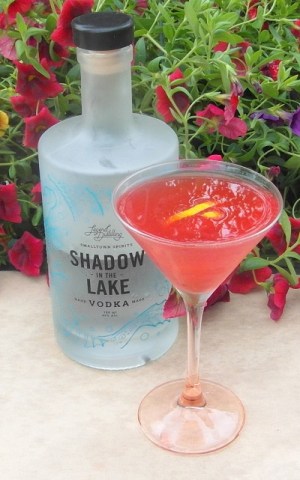 Review: Shadow in the Lake Vodka « The Rum Howler Blog