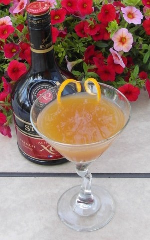 Review: St-Remy XO Authentic French Brandy « The Rum Howler Blog